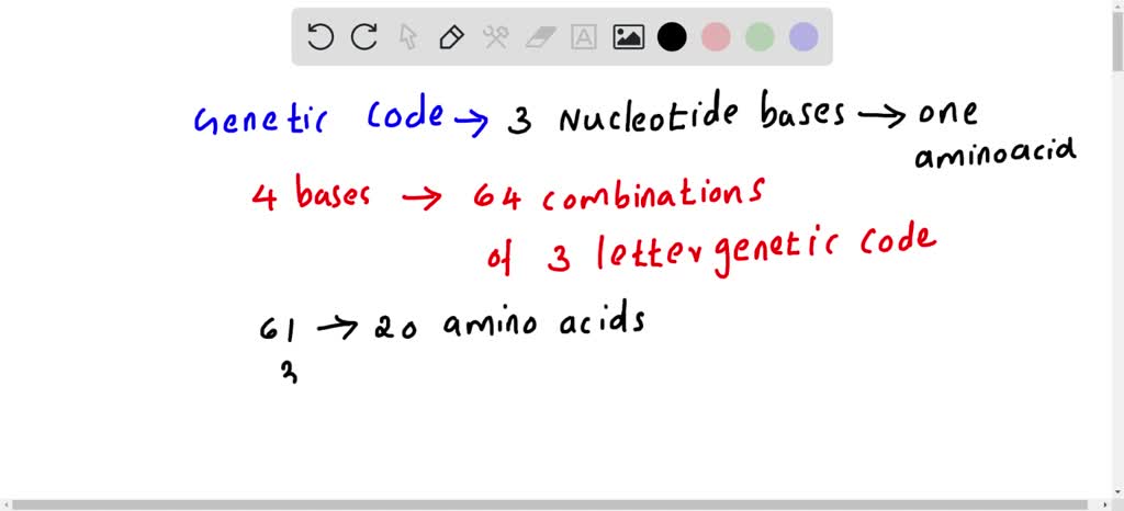 Solved Which Statement Best Explains Why There Are 64 Possible Codons