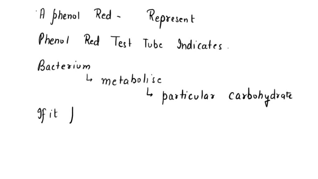 SOLVED: 14. IMAGEABOVE phenol red glucose tube was inoculated with an ...