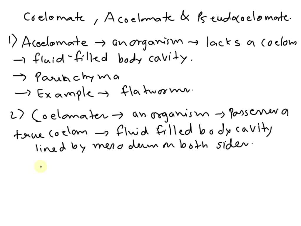 Solved How Do You Distinguish Between A Coelomate An Acoelomate And A Pseudocoelomate