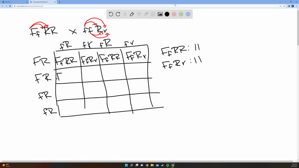SOLVED: Working with the following two traits, fill in Punnett squares ...