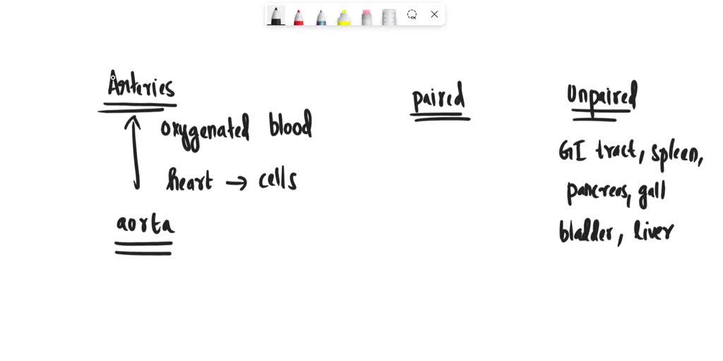 Solved What Is The Difference Between Bicuspid Valve And Tricuspid Valve