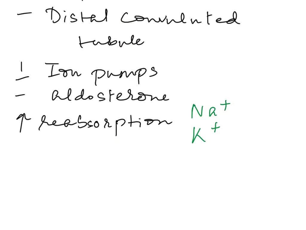 Art-labeling Activity: Reabsorption and Secretion along the Distal ...