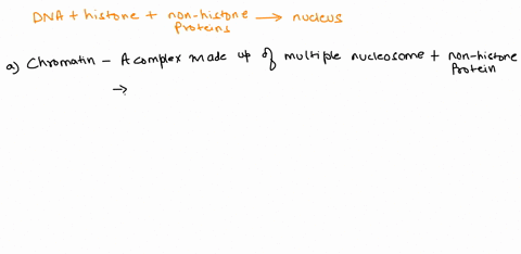 Place the following structures in order from least to most complex organization: chromatin ...