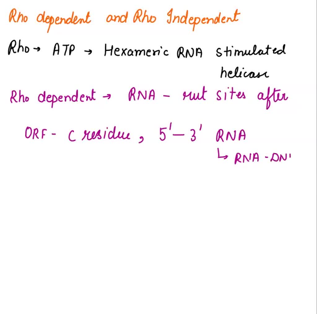 SOLVED: describe the difference between rho-dependent and rho ...