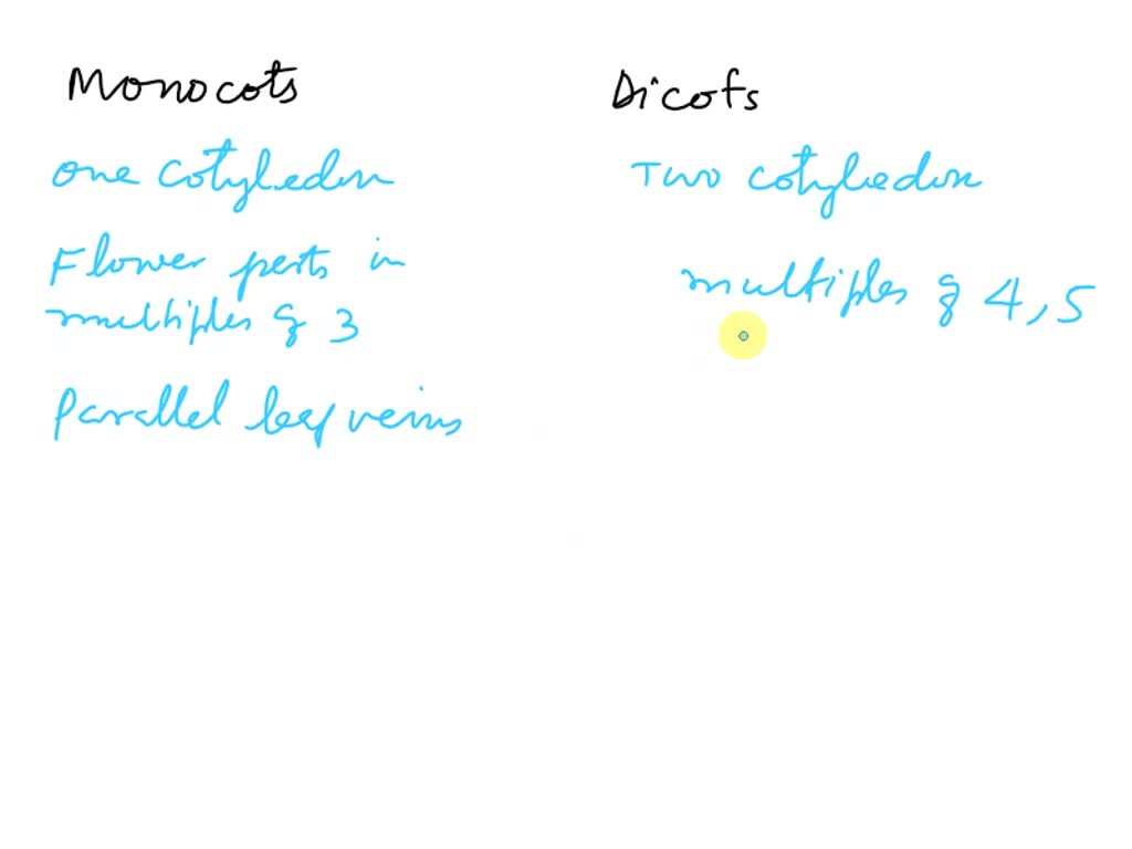 SOLVED: Monocots Dicots Two cotyledons Flower parts in multiples of 3 ...