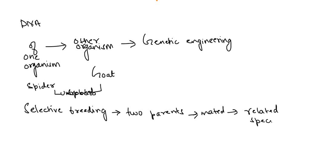 SOLVED: 'Which process is illustrated in the diagram below? Remove ...