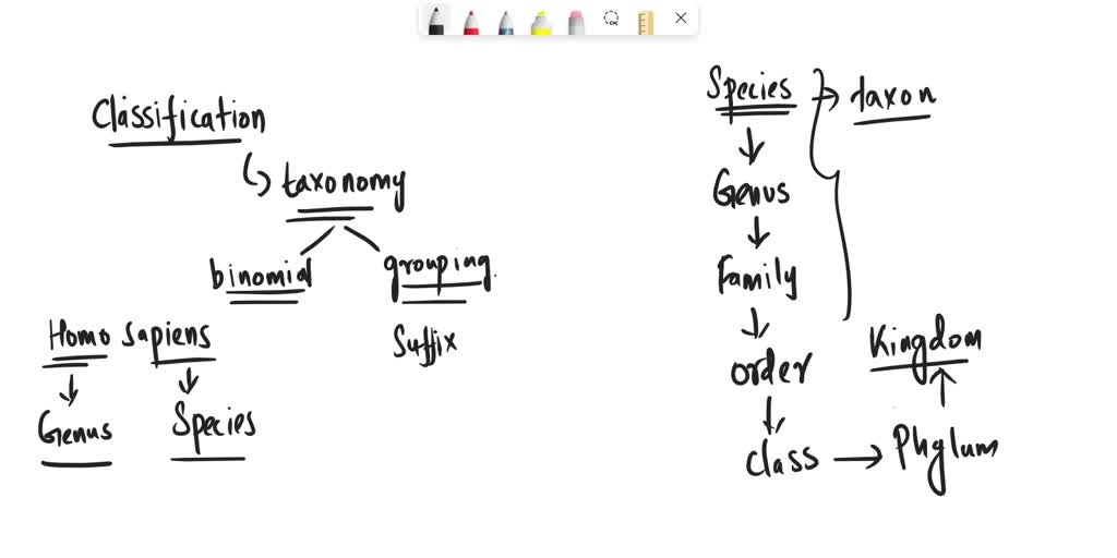 SOLVED: In the classification system devised by Linnaeus, the names of ...