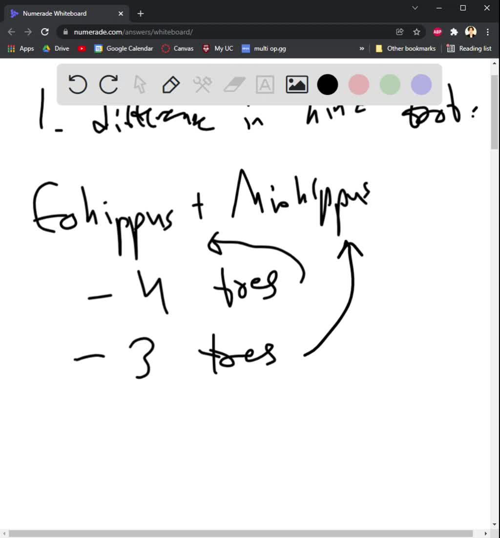 SOLVED: CHARACTERISTICS EOHIPPUS MIOHIPPUS PLIOHIPPUS EQUUS Total foot ...