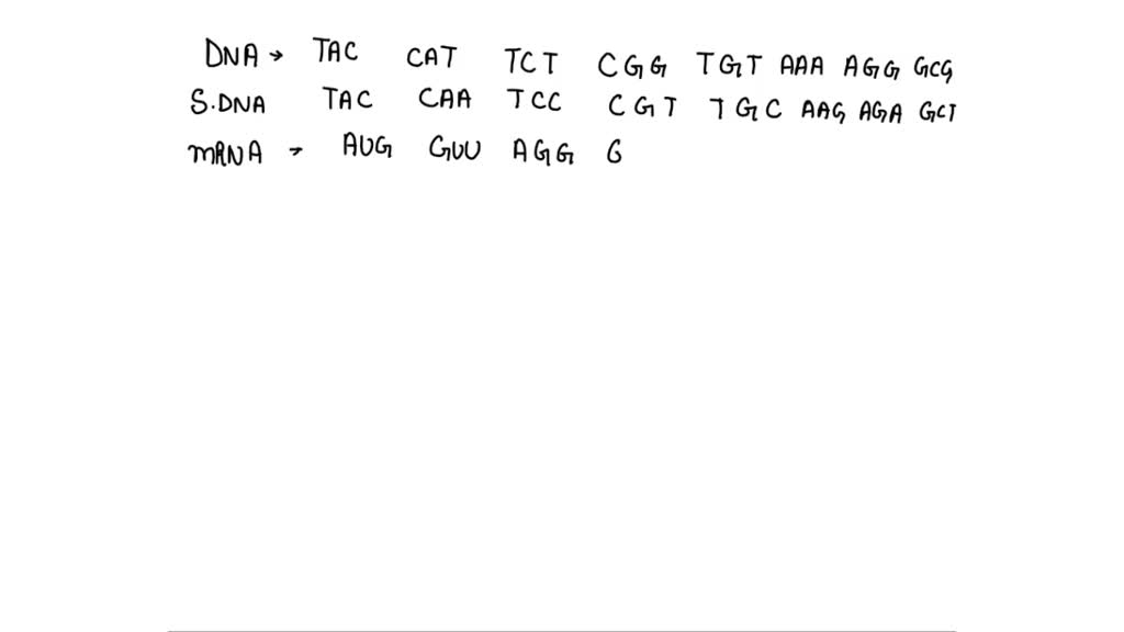 SOLVED: A third type of base substitution is called silent mutation. Silent mutation happens ...