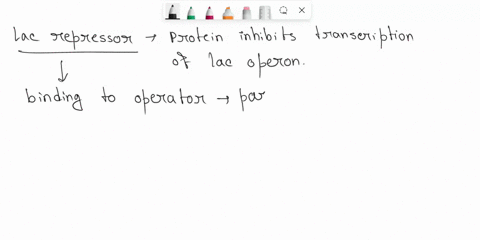 Consider a prokaryotic fructose operon with two genes fru a...