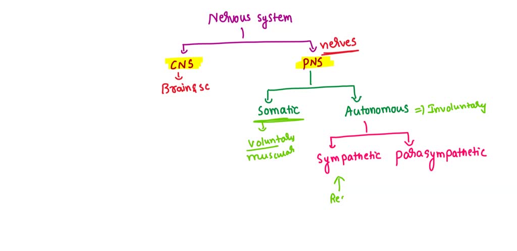 SOLVED: Fill in the blanks in the chart with the parts of the ...