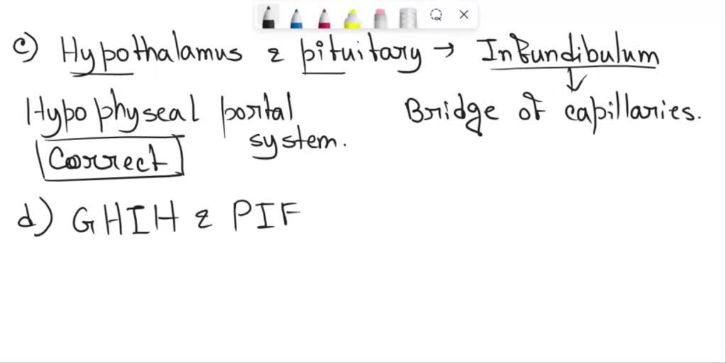 SOLVED: What is true of the relationship between the hypothalamus and ...