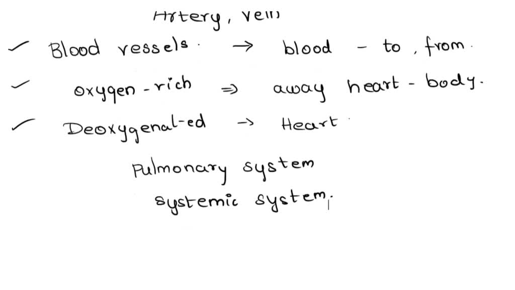 SOLVED: Complete the labeling activity by identifying the following ...