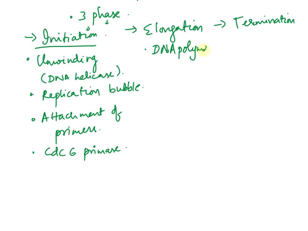 Solved Text Use The Following Terms Below To Develop A Concept Map On 5334