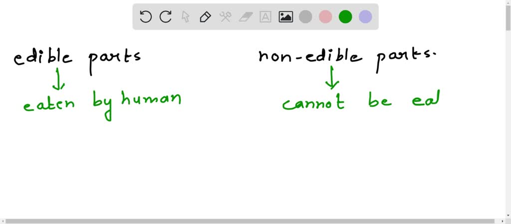 SOLVED: Difference between edible parts of plants and non-edible parts ...