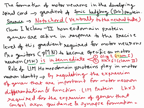 And neurons treatment was nerve growth factor increase his...