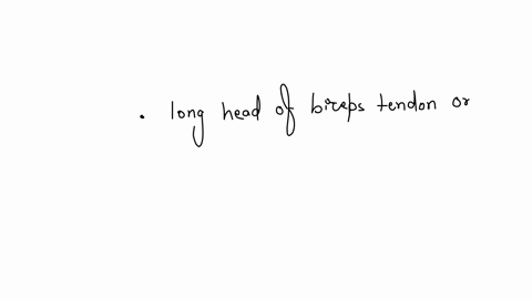 Where does the long head of the biceps tendon originate in the shoulder ...