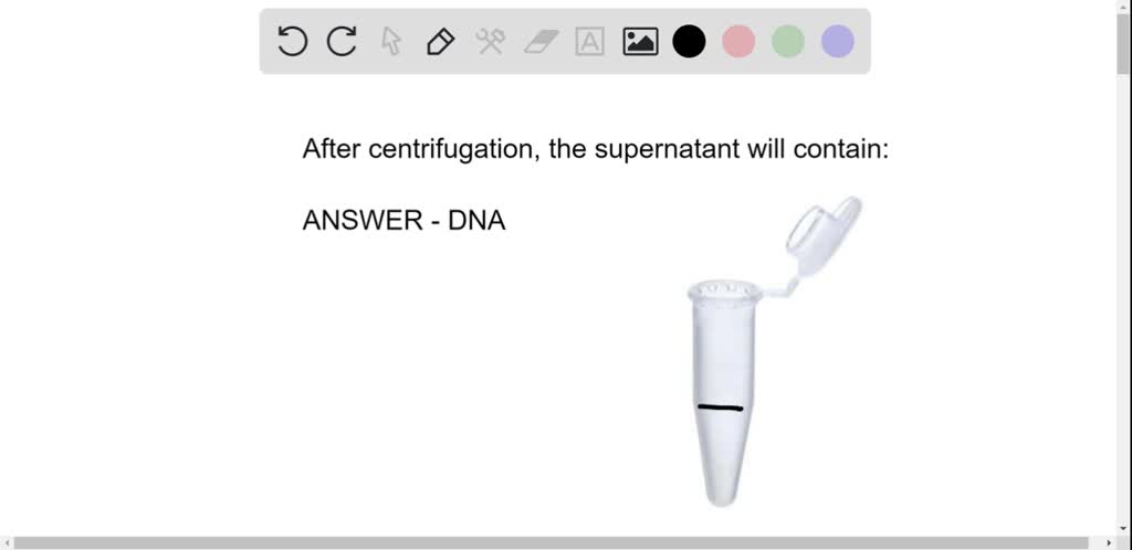 SOLVED: After centrifugation of a cell extract; the supernatant being ...
