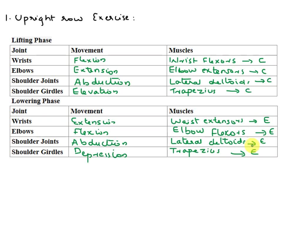 SOLVED: After analyzing each of the exercises in the chart, break each into two primary movement ...