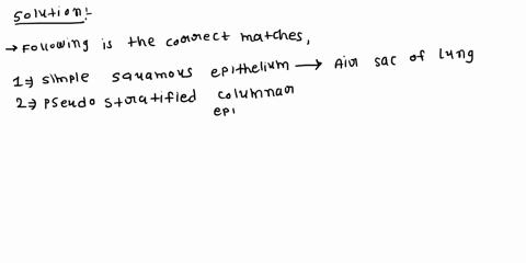 Drag each tissue type to its correct location ...