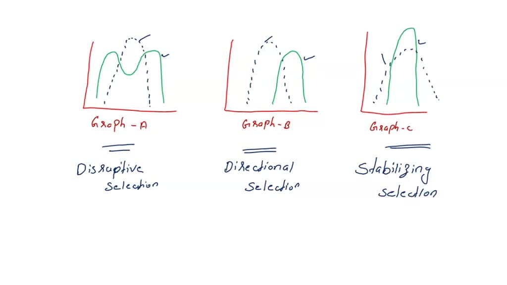 SOLVED: In the graph, the dotted tan Iine represents the original ...