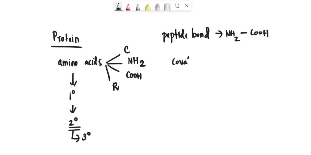 SOLVED: Which functional group forms covalent bonds and contributes ...