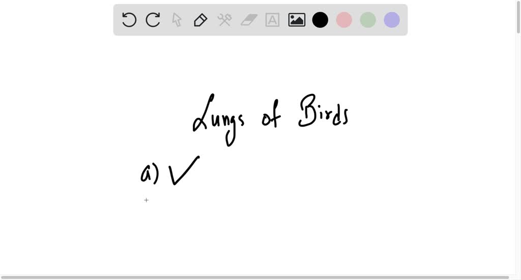 SOLVED: Which characterizes the lungs of birds? Air flows ...