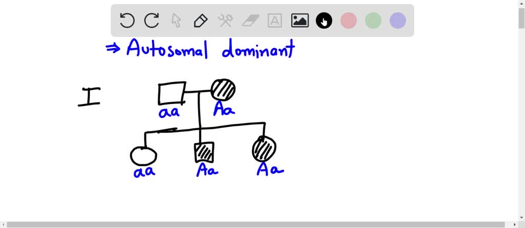 SOLVED: Texts: Hand draw a pedigree with three generations that COULD ...