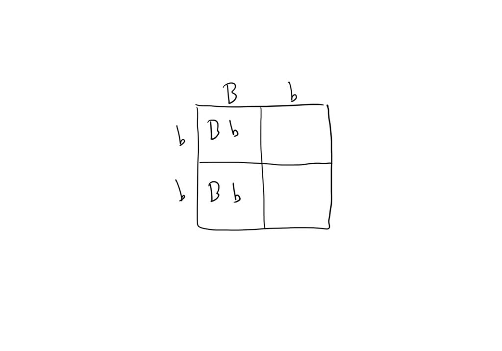 SOLVED: 'The diagram shows components that determine eye color. Where ...