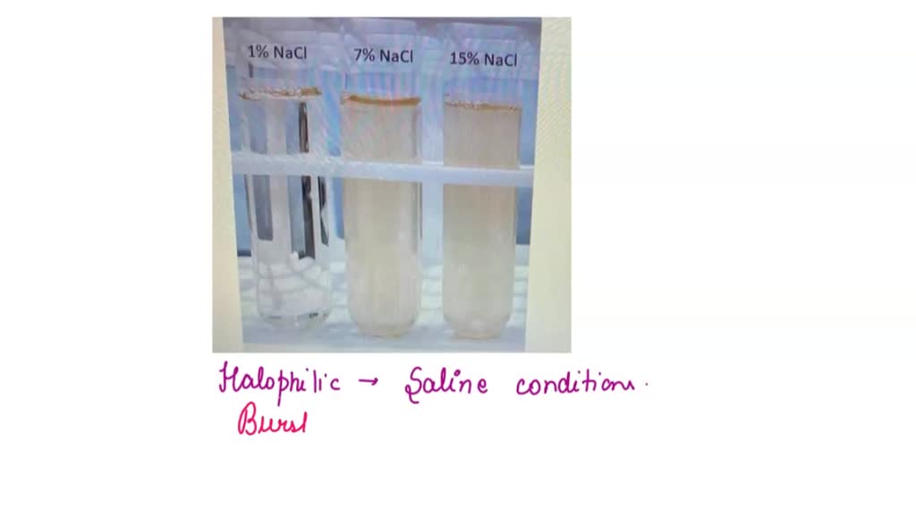 SOLVED: You perform a salt tolerance test on a microbe; and the below ...