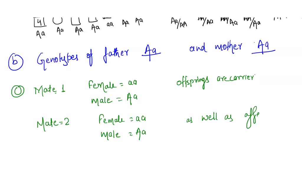 SOLVED: Determine the genotypes of the parents in the first generation ...