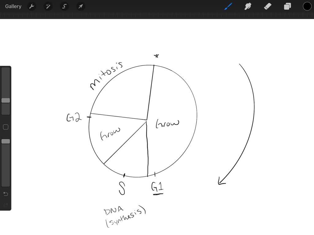 SOLVED: What is the main prerequisite for clearance at the G2 ...