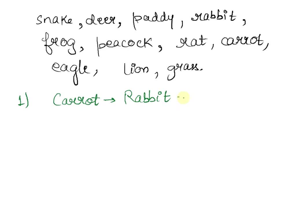 SOLVED: 'Using organisms from the food web, complete this food chain of ...