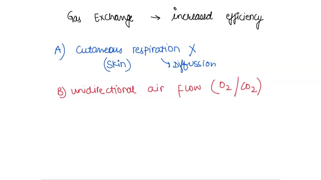 SOLVED: The effects of immobility on the respiratory system include: a ...