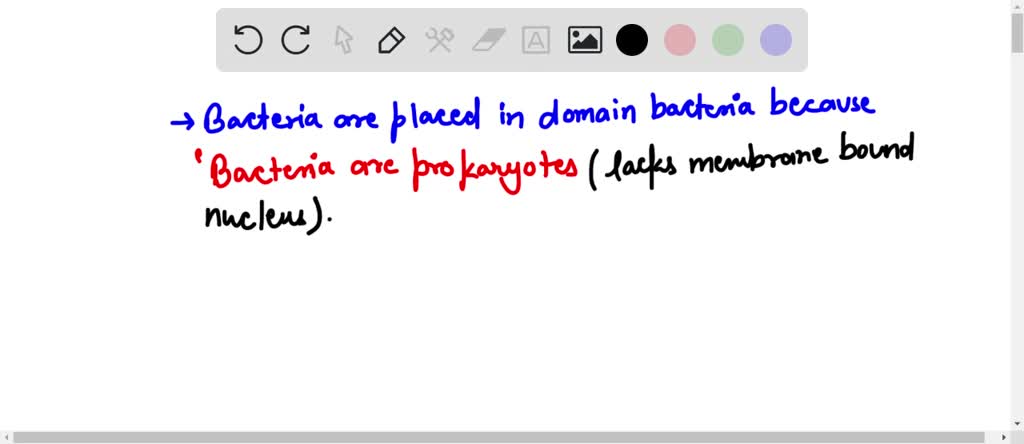 SOLVED: Select all characteristics that apply to bacteria. Bacteria are ...
