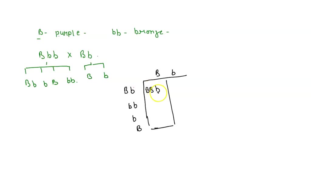 SOLVED: Remember that in maize trisomics, n+1 pollen is not viable A ...