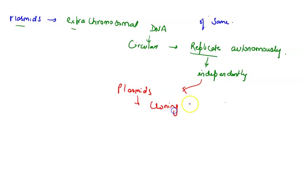 SOLVED: Analysis of the cloning vector. First, you point out the ...