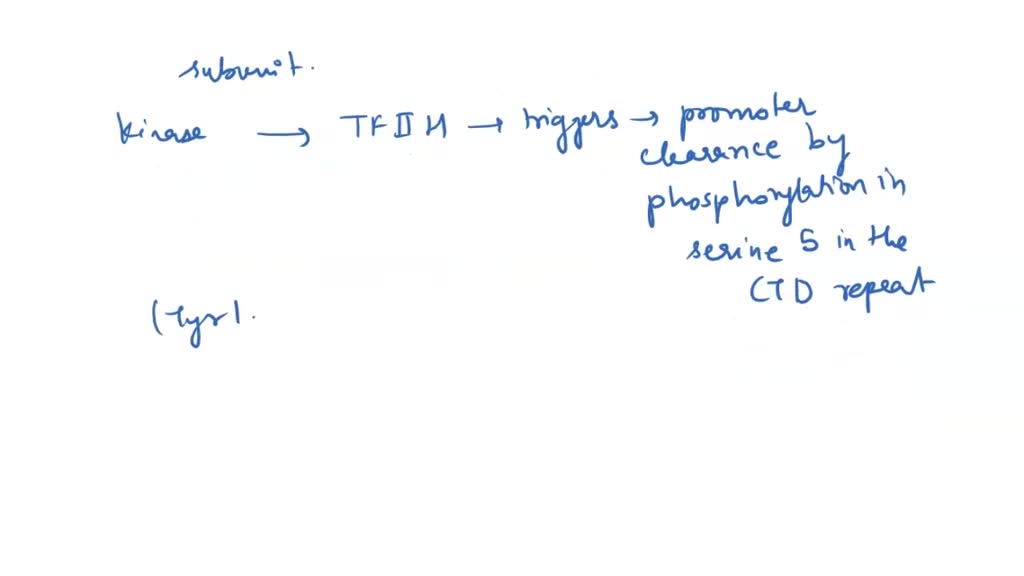 SOLVED: The RNA polymerase II C-terminal domain (CTD) consists of ...