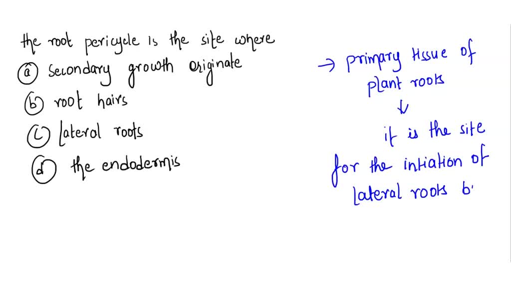 SOLVED: Roots hairs are first formed in the root cap zone of elongation ...