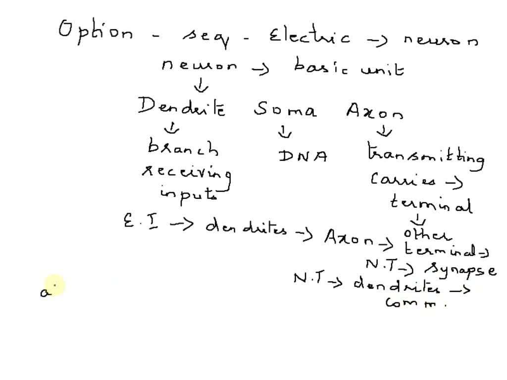 SOLVED: Nerve signals are transmitted from one neuron to another at a junction between cells ...