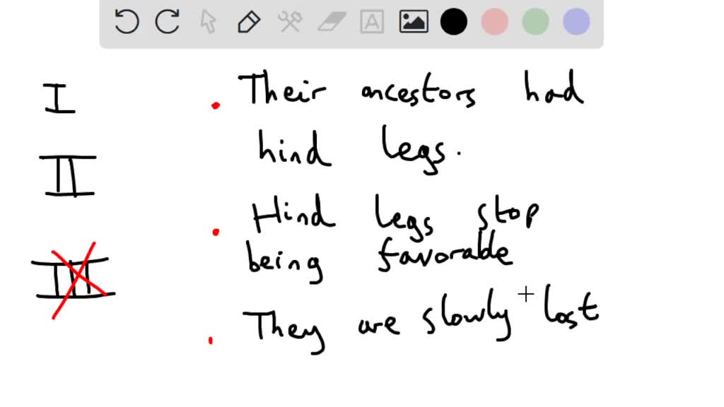 SOLVED: Neither whales nor pythons have hind legs, but both have ...
