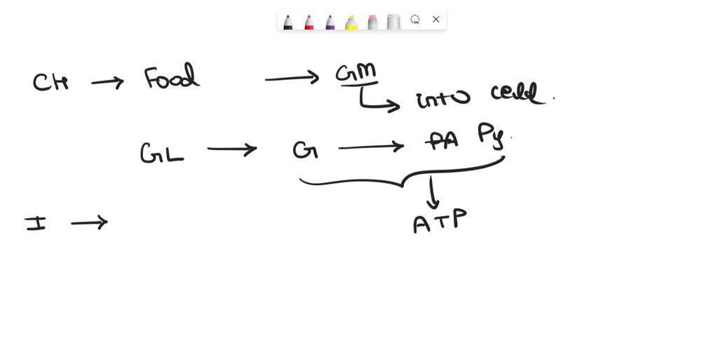 SOLVED: The human body is composed of many innate feedback and feed ...