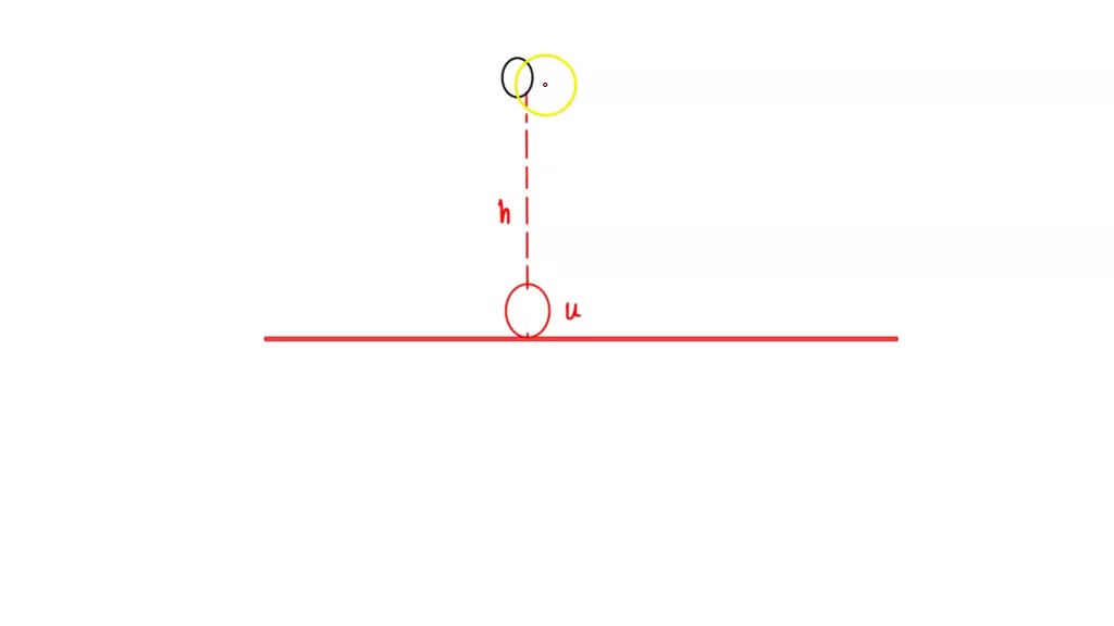 SOLVED: A ball is thrown vertically upward. What are its velocity and ...