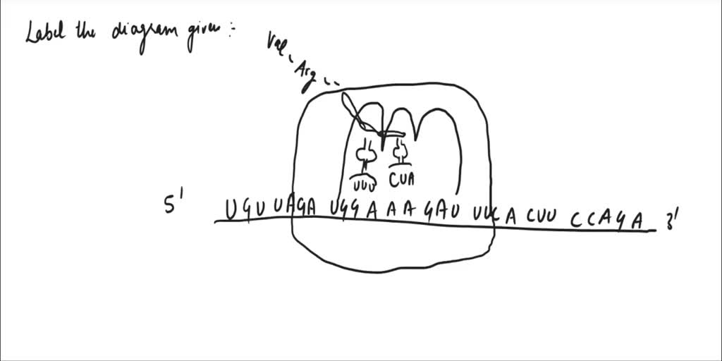 SOLVED: Check Your Understanding Q3.10. The diagram below shows ...
