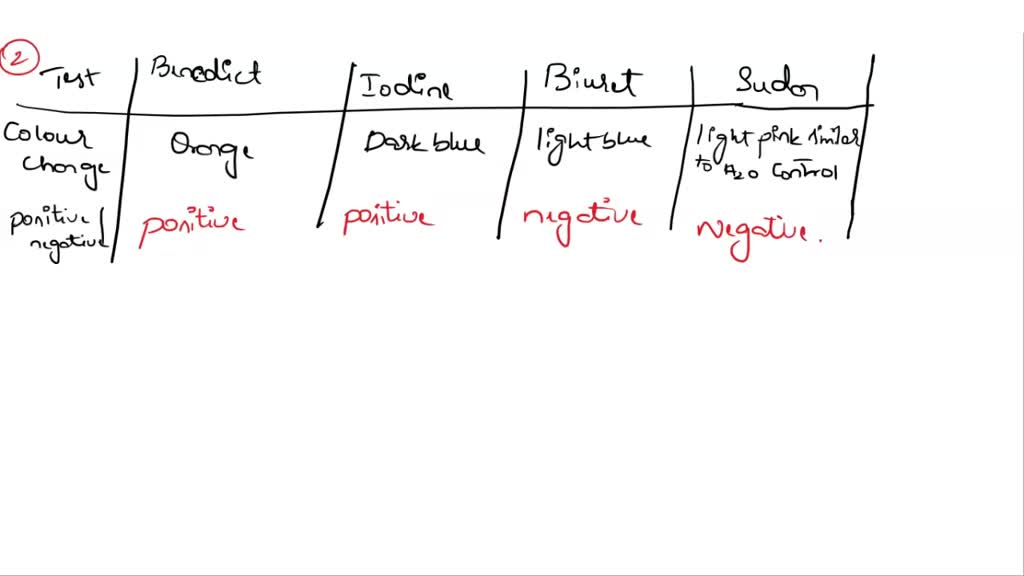 SOLVED: Chemical assessment: The major biological molecules that ...