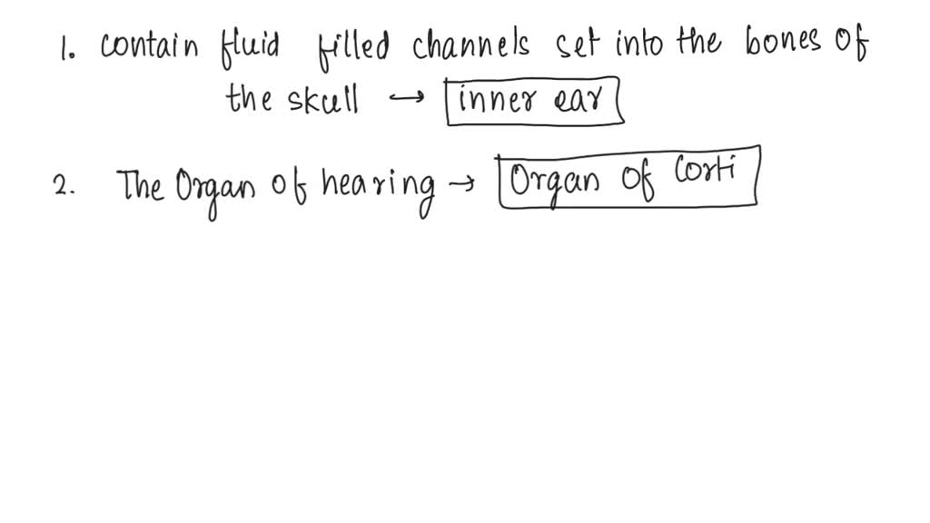 SOLVED: MLO12 Match the DRI-related term on the left with the phrase ...