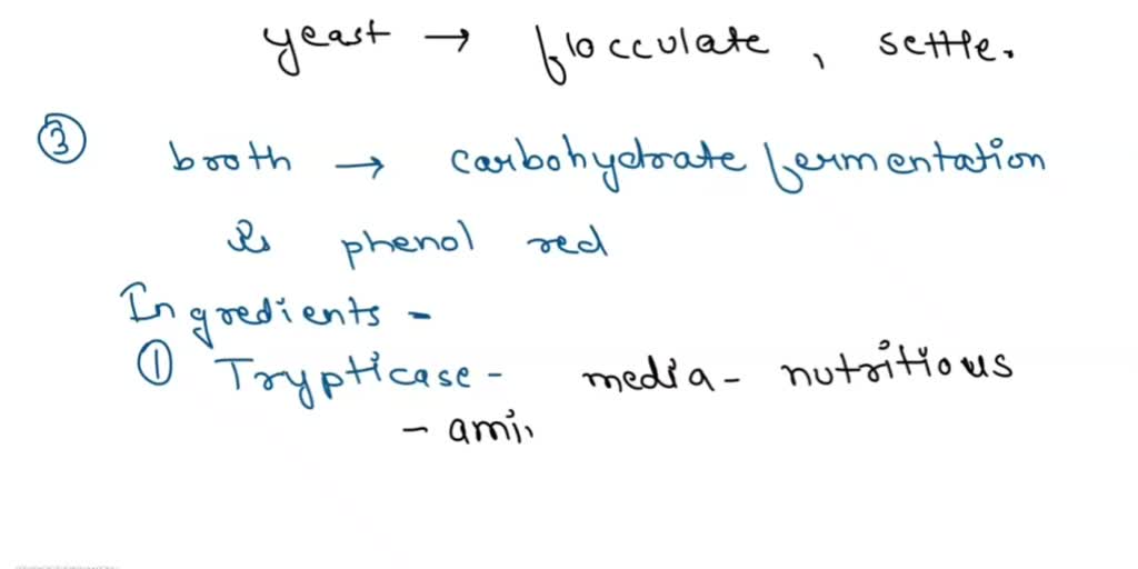 What are the main components of the fermentation process and give an ...