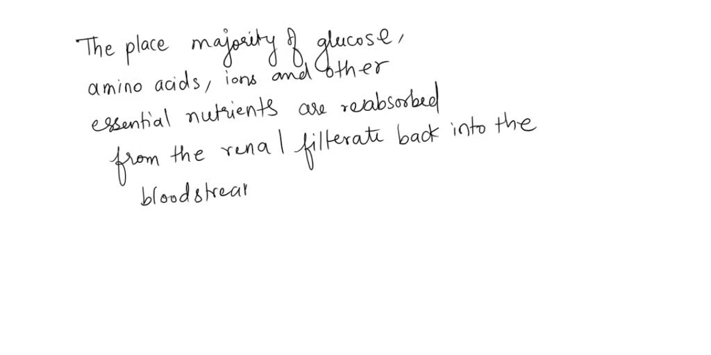 SOLVED: A majority of the substances filtered into the nephron are ...