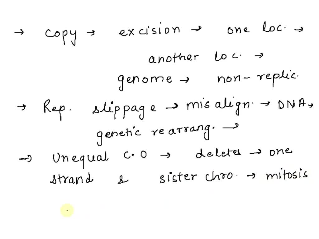 SOLVED: Consider the map shown below of a portion of a prokaryotic ...