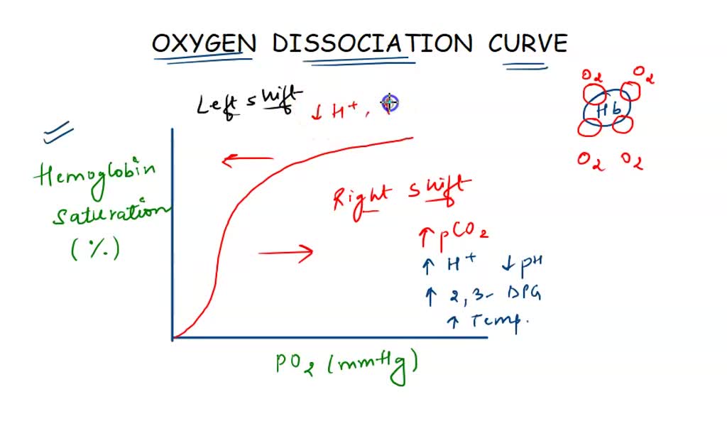 SOLVED: to 2 pts Question 14 Choose all that favor UNLOADING of oxygen ...